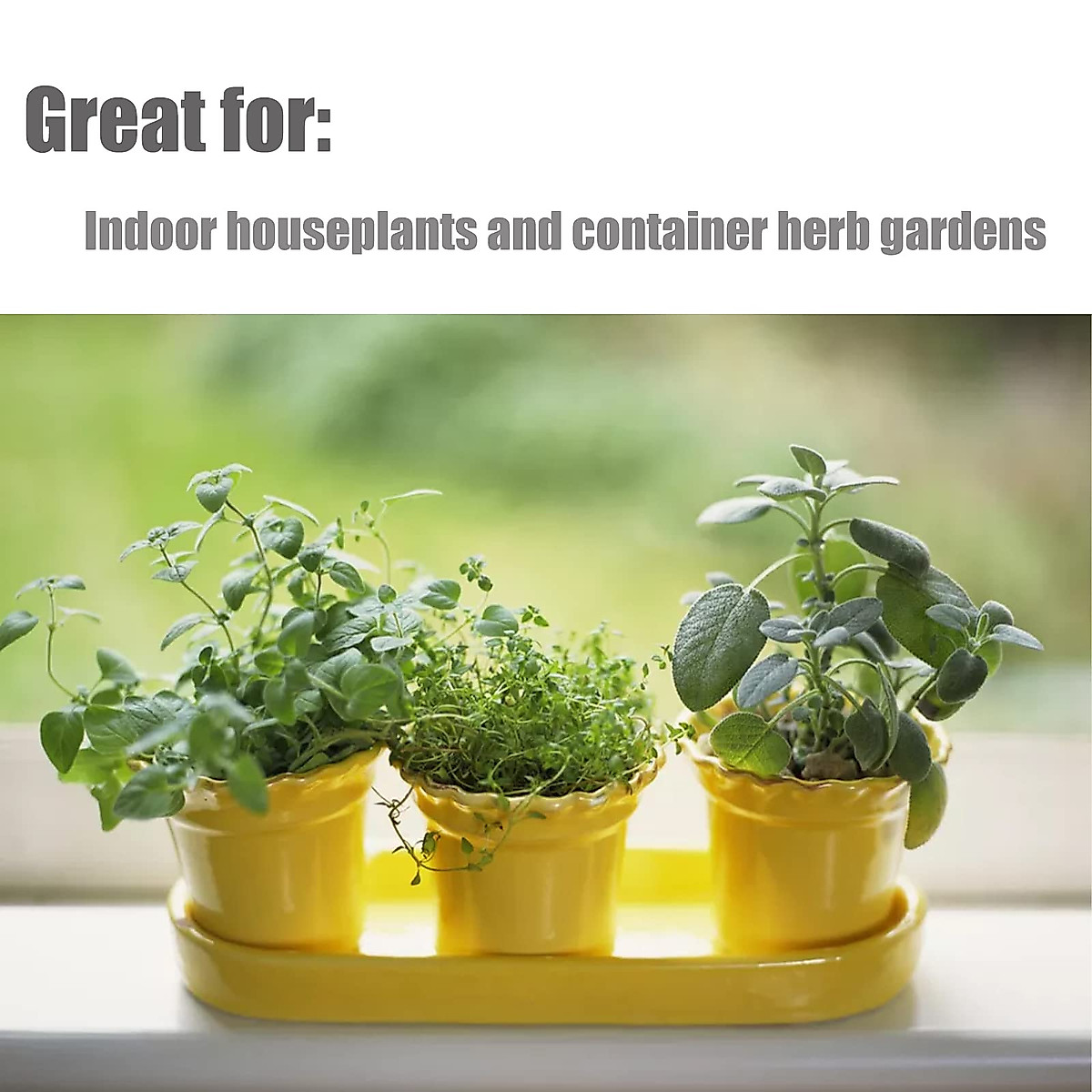 Doter Organic Potting Soil Mix for All Indoor & Outdoor Small Containers Including Herbs, Vegetables, and Flowers 1 qt