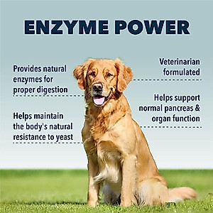Four Leaf Rover Digest - Digestive Enzymes with Probiotics for Dogs - 15 to 45 Day Supply, Depending on Dog’s Weight - Daily Gut and Immune Support - Vet Formulated - Easy to Mix