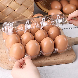 LOVEINUSA 48PCS Clear Egg Cartons, Plastic Egg Holders Egg Cartons Cheap Bulk for Home Ranch Chicken Farm Market Display 12-cavity