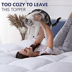 Mattress Topper Queen, Cooling Plush Bed Topper Thick Mattress Pillow Top Mattress Pad, Hotel Quality Down Alternative Pillow Topper for Queen Size Bed with Deep Pocket, Soft Feather Bed Toppers