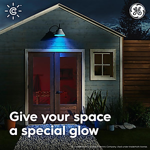 GE CYNC Smart LED Light Bulbs, Color Changing Lights, Bluetooth and Wi Fi Lights, Works with Alexa and Google Home, PAR38 Outdoor Floodlights (2 Pack)