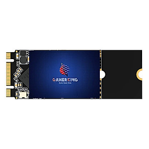 GAMERKING 256GB M.2 2260 SATA III 6Gb/s SSD Internal High Performance Solid State Drive for Desktop Laptop