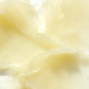 Mario Badescu Lip Wax with Rosehip and Vitamin E Oils, Lightweight and Antioxidant Rich Lip Moisturizer for Dry Lips, Non-Greasy and Non-Sticky Hydrating Lip Balm