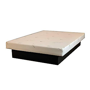 Strobel Organic Zeus Regular Beds or Waterbeds 9-in Black Pedestal Platform, Queen