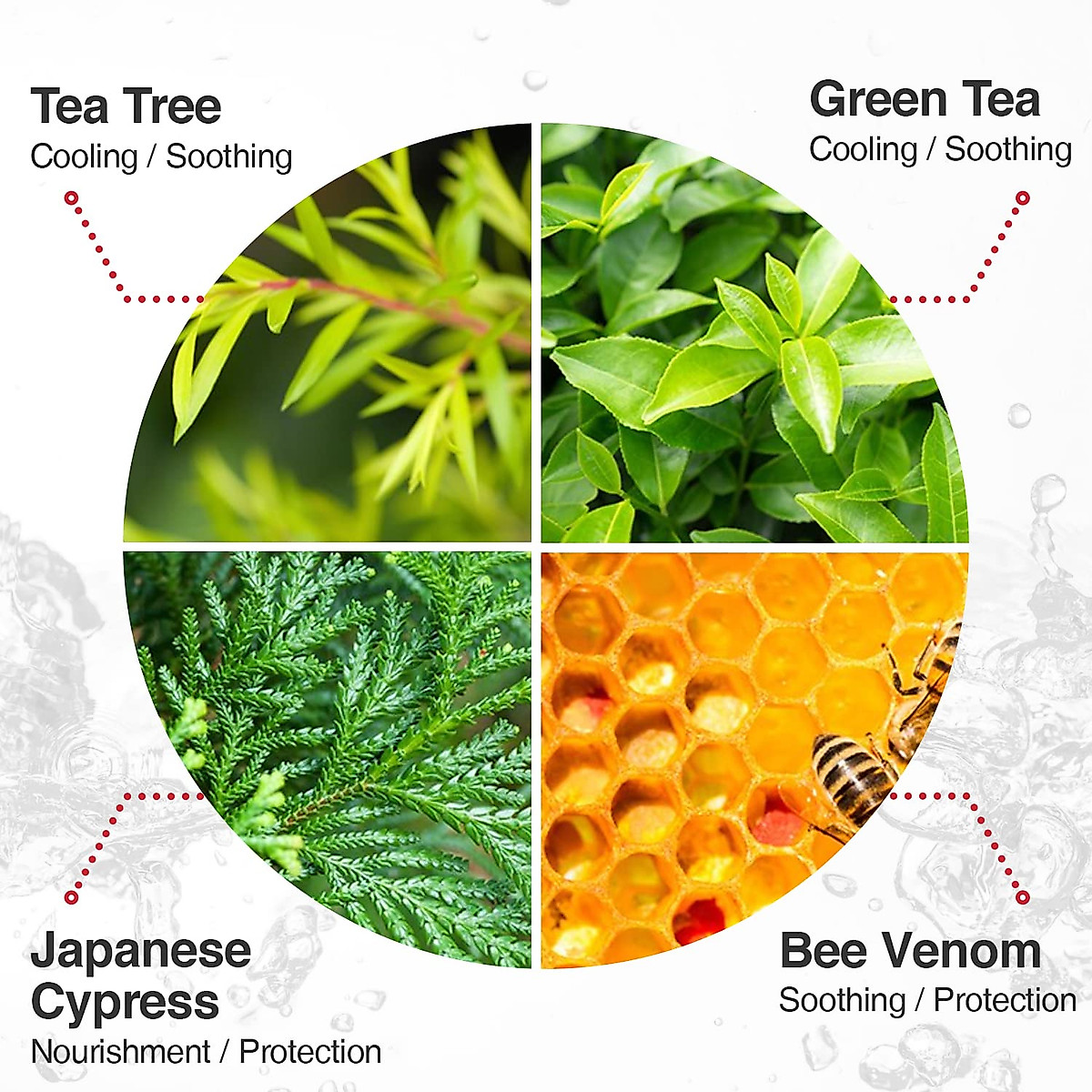 BENTON Snail Bee Ultimate Serum Plus 35ml (1.18 fl.oz.) - Snail Secretion Filtrate, Bee Venom, Tea Tree Leaf Water Contained Skin Nourishing & Soothing Facial Serum for Sensitive, Dry Skin