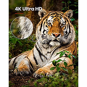 Anker Nebula Cosmos Max 4K UHD TV Home Theater/Entertainment Projector with Anker Nebula Projector Lightweight and Adjustable 3-ft Floor Stand