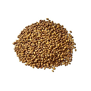 SMART CAT BOX Starter Kit - Cat Litter Box - Preferred for Reducing Odor & Easy Cleaning - Made in The USA