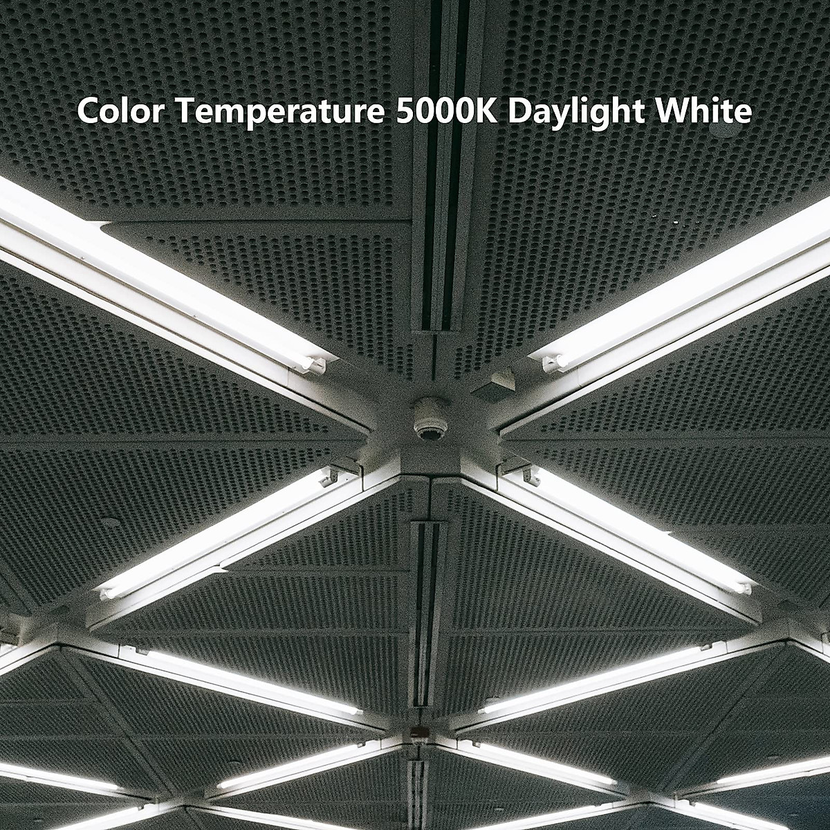 Xapolu 2FT T8 T10 T12 LED Tube Lights 12W 5000K, 24 Inch 1680Lm Light Bulbs, F17T8/F24T8 Fluorescent Light Bulbs Replacement, Ballast Compatible, Dual-Ended, Frosted Lens, UL Listed