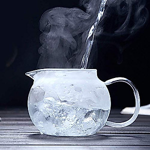 Warmyee Hofu Small Clear High Borosilicate Glass Tea Pot with Removable 304 Stainless Steel Infuser, Heat Resistant Loose Leaf Teapot,Stovetop Safe, 660 ml/22.3 Ounce.