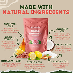 Locsanity Dreadlock Hair Scalp Detox - Deep Clean Dreadlock Powder, Cleansing Conditioner - Natural Hair Cleanser for Build Up - ACV Alternative, Loc Care and Maintenance Products