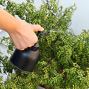 Plant Mister Spray Bottle, Metal Stainless Steel Plant Sprayer Mister, Small Watering Can Plant Spritzer with Top Pump for Indoor House Air Plants Succulents Outdoor Garden Decorative(Matte Black)