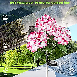 Solar Flower Lights-2 Pack Waterproof Solar Garden Flower Lights with Solar Hydrangea Stake, Solar Decorative Lights for Patio, Courtyard, Garden Lawn (Blue & Rose Red)