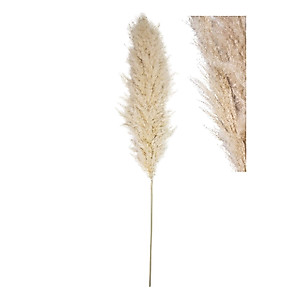 48" Extra Large Pampas Grass Stems Beige- 4 Pampas Stems - Tall-Pampas Grass for Floor Vase - Wedding Decoration