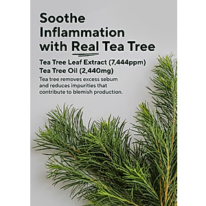 AROMATICA Tea Tree Balancing Foaming Cleanser 6.35oz / 180g, Vegan Double Cleanser Face Wash For Oily Skin, EWG Verified