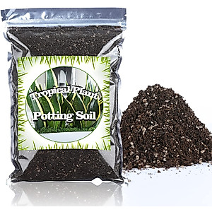 Doter Houseplant Potting Mix, Fertilized, Perlite Soil for All Types of Indoor House Plants and Tropical Plant 1 qt