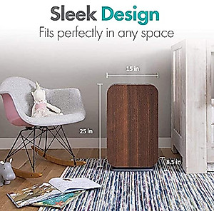 Alen BreatheSmart FLEX HEPA Air Purifier, Medical Grade Filtration H13 True HEPA for 700 SqFt, 99.9% Airborne Particle Removal, Air Purifier for Allergens, Dust, Mold, Heavy Odors, (Graphite)