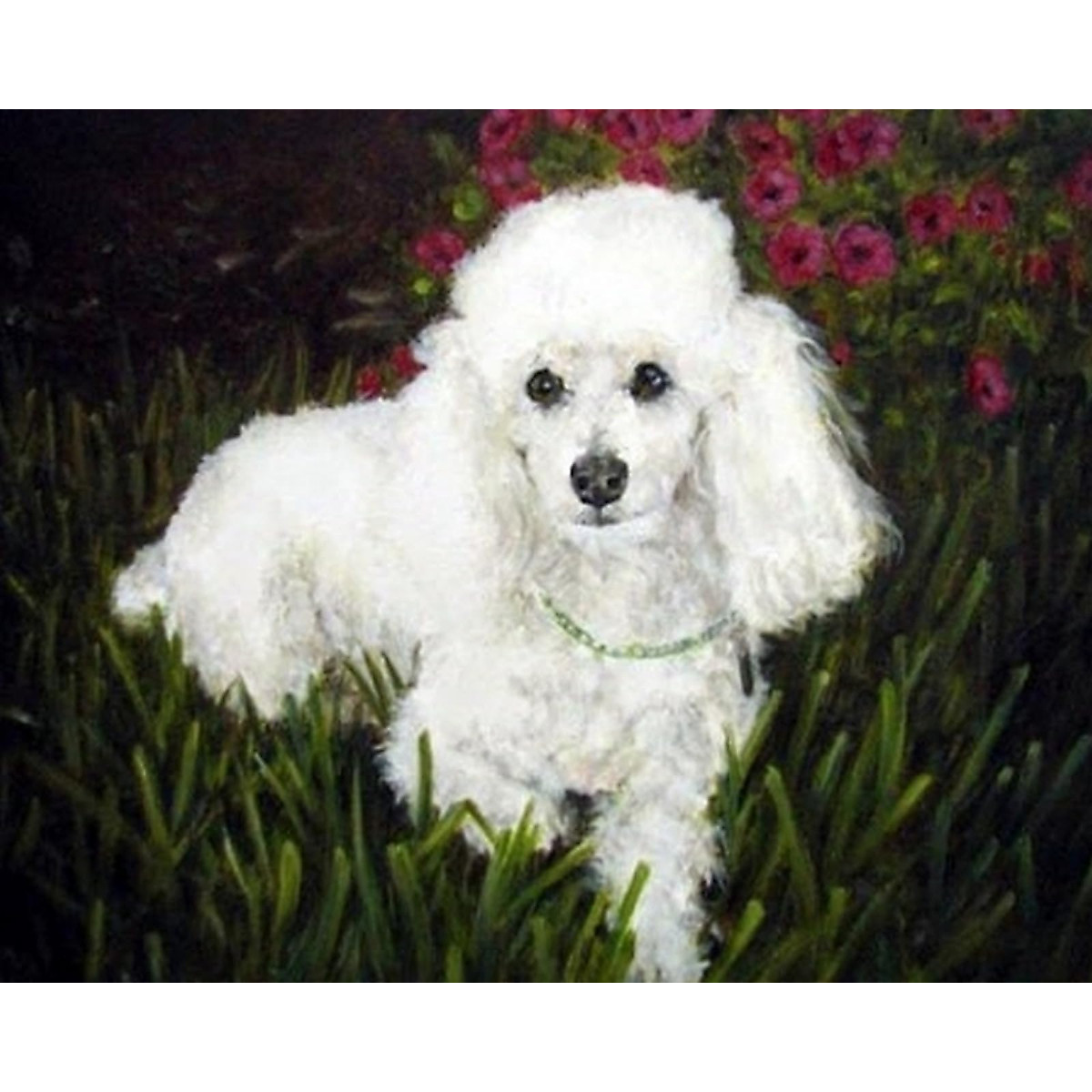 COKYIS Cross Stitch Kits for Adults Stamped Poodle 11CT Printed Cross Stitch Kits,Counted Embroidery Kits for Beginner Wall Art Home Decoration 40x50cm