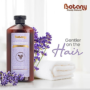 Botany Natural Conditioner for Normal to Dry Hair with Organic Argan Oil, Geranium, and Lavender - Vegan Conditioner for Women and Men SLS/SLES, Silicon, Paraben and Cruelty Free,17.6 oz