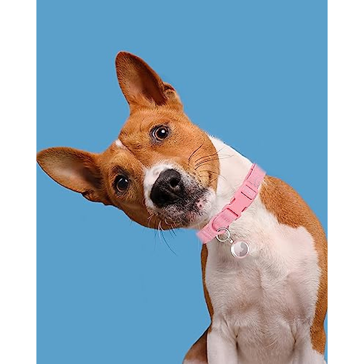 Aecllcea Airtag Holder Dog Collar for Small Medium Large, Airtag Dog Collar Holder Waterproof, Soft Padded Dog Collars with TPU Air Tag Device, Air Tag Dog Collar Waterproof. (S, Pink)