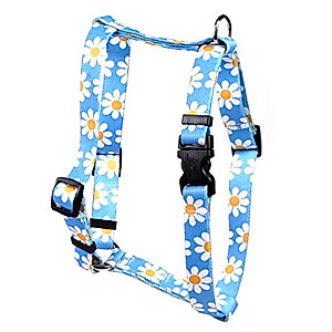 Yellow Dog Design Blue Daisy Roman Style H Dog Harness, Small/Medium