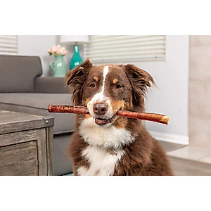 Natural Cravings USA Texas Sized Bully Sticks | All Natural | Odor Free | High Protein | Premium Quality Dog Chews | 12" - 3 Pack