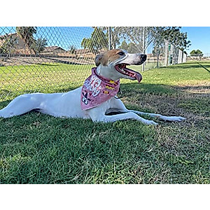 Elegant little tail Dog Bandanas - 1Pack Brithday Gift Washable Female Dog Scarf Square Dog Bib Kerchief Scarf Adjustable pet Bandana for Medium Large Girl Dogs