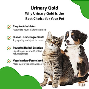 Pet Wellbeing Urinary Gold for Dogs & Cats - Vet-Formulated - Urinary Tract Health, Supports Normal Urinary pH - Natural Herbal Supplement 4 oz (118 ml)