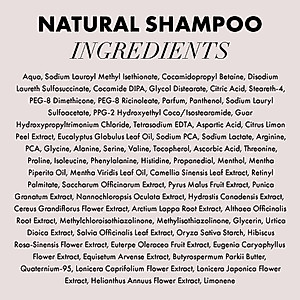 Hanz de Fuko Premium Natural Shampoo & Conditioner Hair Care Kit – High Performance Hair Cleansers, Fights Dandruff & Scalp Irritation – Sulfate and Paraben Free, 16+ Natural Plant Extracts, 8 oz.