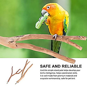 TEHAUX Parakeet Toys 2PCS Bird Parrot Perch Stand Set- Natural Wood Bird Parrot Stand Branches Fork Perch Rod Stand for Small Parakeets Budgies Cockatiels Conure Lovebirds Bird Cage Accessories