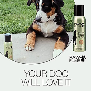 PAWFUME Premium Grooming Spray Dog Spray Deodorizer Perfume For Dogs - Dog Cologne Spray Long Lasting Dog Sprays - Dog Perfume Spray Long Lasting After Bath- Dog deodorizing Spray (Show Dog)