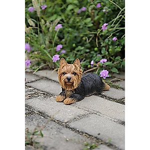 Hi-Line Gift Ltd Yorkshire Terrier Resin Dog Lying Down Statue