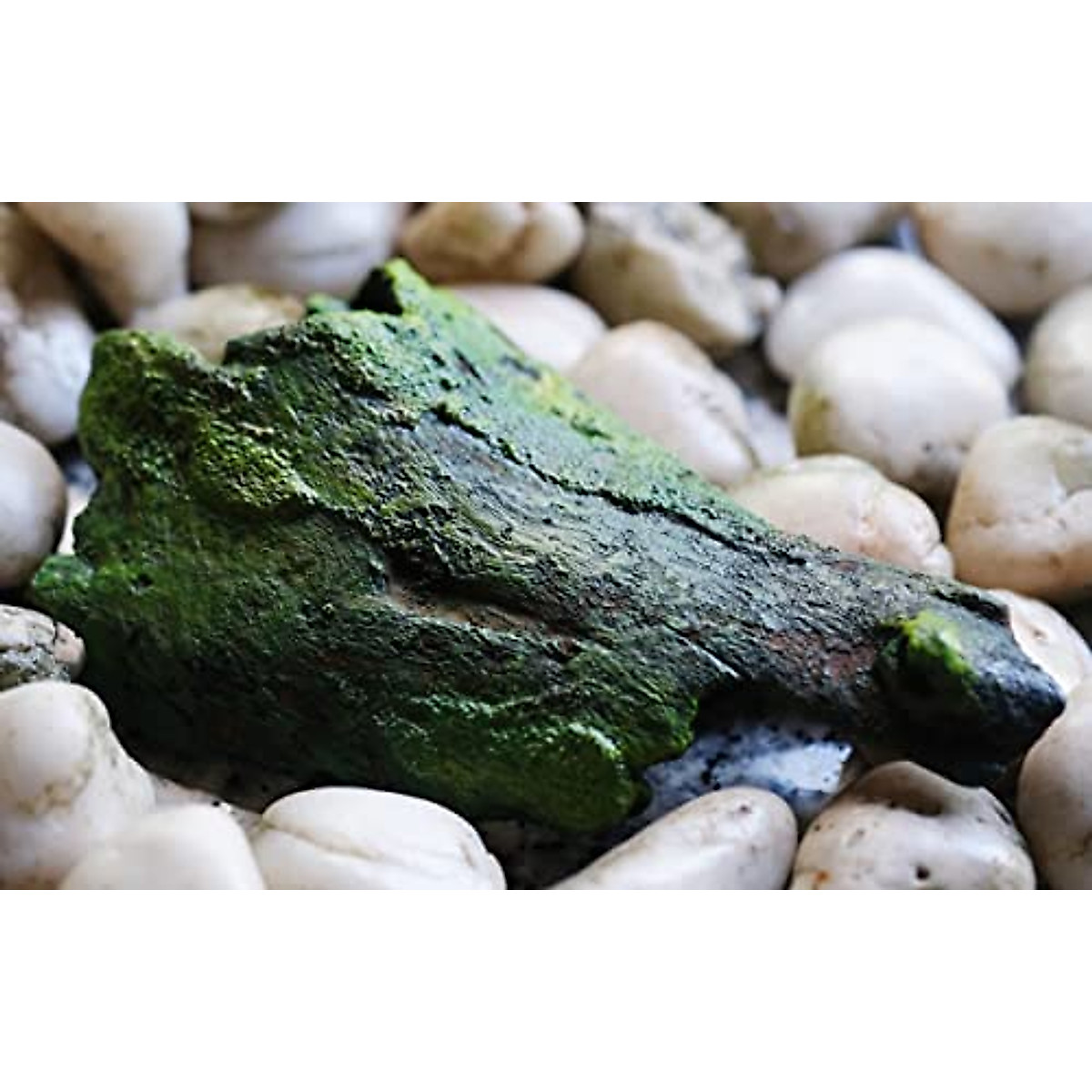 1shopforyou Random Selection Reptile Amphibian Habitat Decorative Garden Stakes 5X10 CM