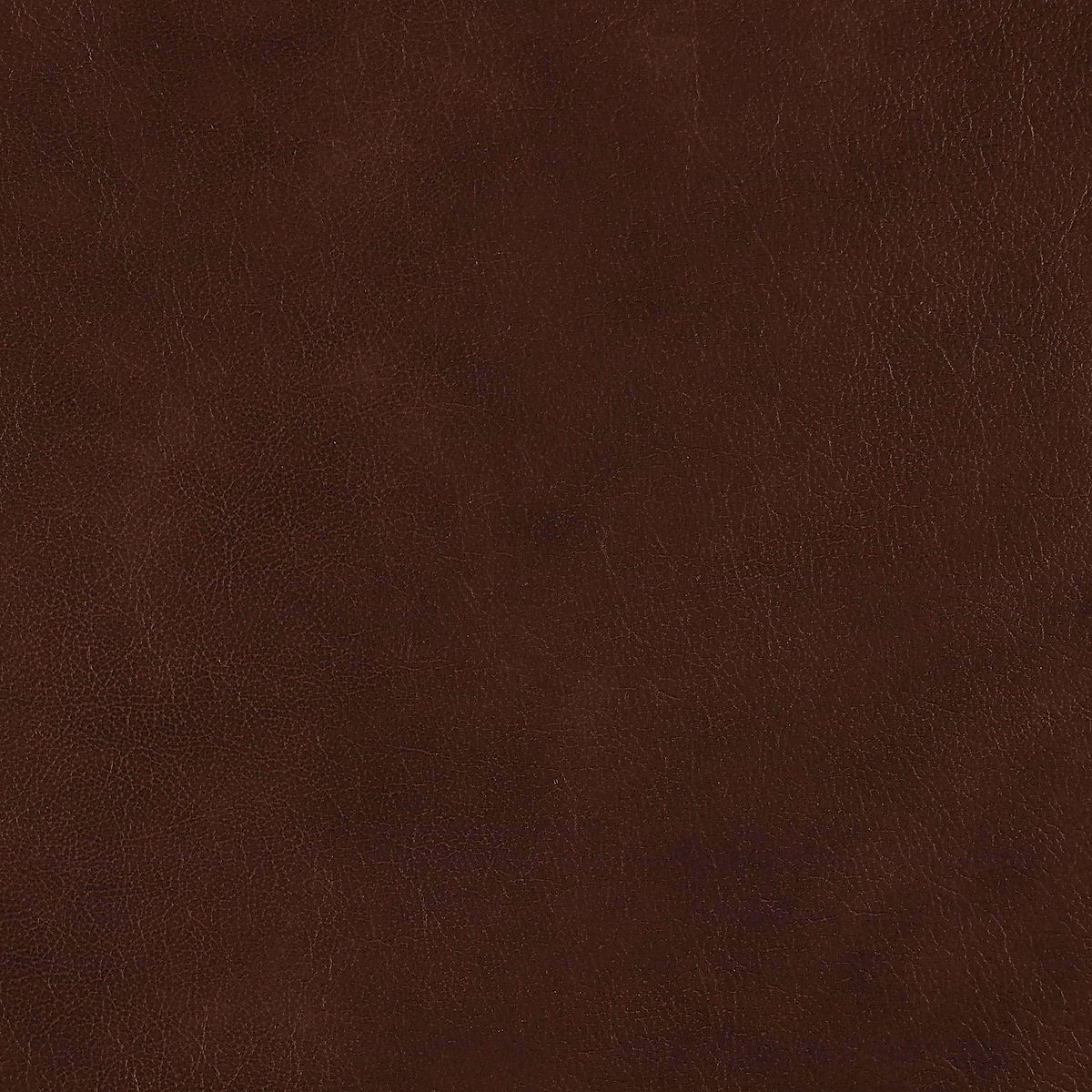 Lexicon Jaunt Wall-Hugger Power Double Reclining Loveseat, Brown