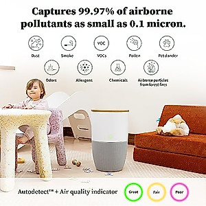 Dupray Bloom™ Air Purifier for Large Rooms with Planter or Custom Accent Table Design | For Home, Bedroom, Office, Dust, Pets | H13 HEPA Air Filtration (Accent Table - Walnut, Cloudy Gray)