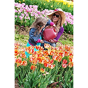 Bloem 100532979 AW21-31 56 oz Deep Sea Aqua Rite Watering Can, 1/2 Gal