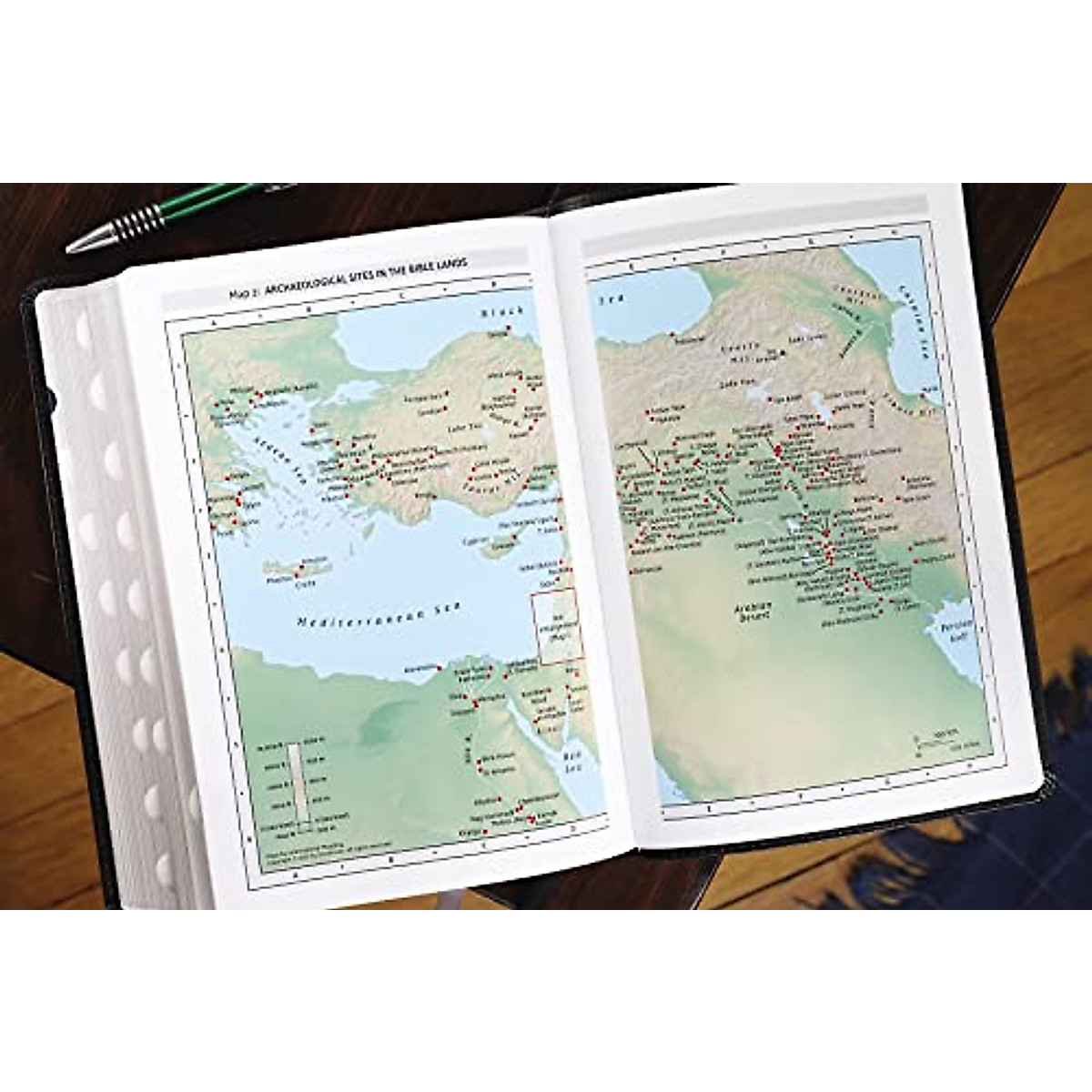 NIV, Thompson Chain-Reference Bible, Large Print, European Bonded Leather, Black, Thumb Indexed, Red Letter, Comfort Print