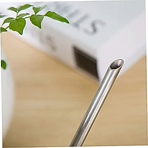 Eioflia Mini Watering Can,Watering Can Small,Stainless Steel Small Watering Pot with Long Spout Long Spout Bonsai Mini Watering Can for Kids Nursery Bonsai Indoor Houseplant (Silver)