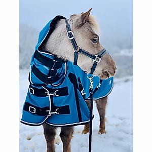 Star Point Horsemanship Mini-Pony Horse Ripstop Waterproof Windproof Blanket Hooded Lightweight Turnout Rain Sheet Breathable Lining 1200 Denier Material 220 Fill (46-48", Teal)