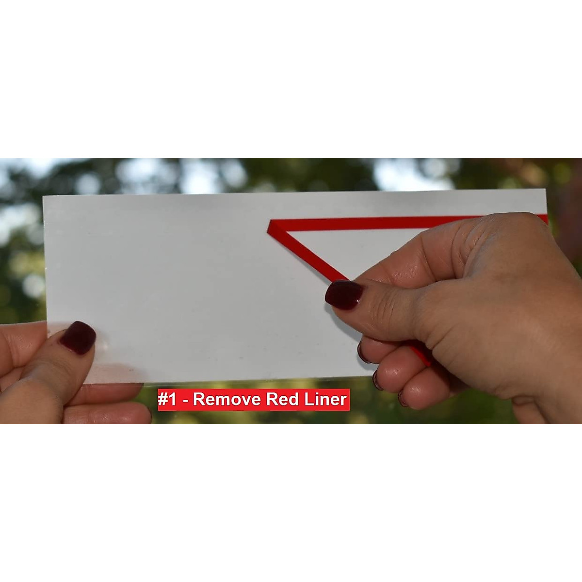 Window Fly Traps by Titan Traps - Sticky Fly Paper, Window Bug Catcher, Indoor Fly Trap, Fly Paper Bug Sticky Strips, Window Fly Strips, Bug Sticky Trap - 15 Disposable Fly Traps (1 Pack)