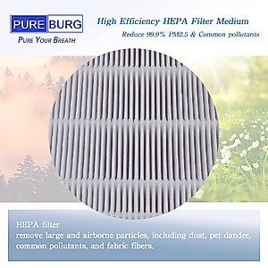 PUREBURG Replacement Filter Compatible with Filtrete F1 Filter Fits FAP-C01-F1 & FAP-T02-F1 FAPF-F2-A FAP-C01-F2 & FAP-T03-F2 Air Purifiers,2-Pack H13 HEPA + 8 Carbon Pre-Filters