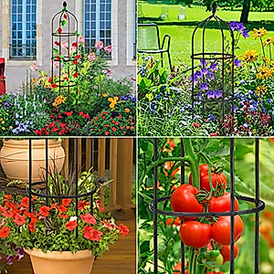 Toolazy Tower Obelisk Garden Trellis for Climbing Plants Outdoor Indoor 6ft Rustproof PE Coated Metal Plant Support Round Obelisk Trellis for Potted Climbing Vine Indoor（Black） (1 Pack)