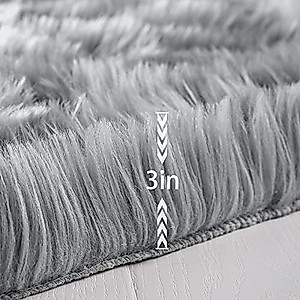 Pacapet Fluffy Faux Fur Rug,Grey Fur Rug Sheepskin Rug for Bedroom,Furry Shag Rug for Living Room,Fuzzy Rug Carpet for Bedside Kids Nursery Room Decor,2x3 ft