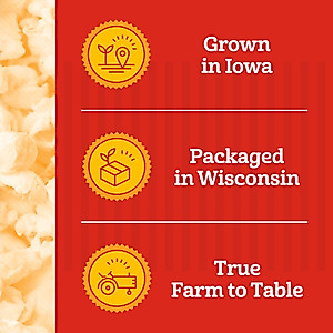 Franklin’s Gourmet Popcorn All-In-One Popcorn Packs for Popcorn Machine - 8oz Pack of 10 - Made in USA - Packs of Popcorn Bags with Buttery Salt & Oil