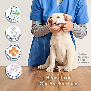 ARCA PET Dental Finger Wipes for Dogs - 100 Wipes - Vet Formulated Dog Dental Teeth Cleaning Wipes for Dogs - Pre-Soaked Oral Cleaning Pads- Reduces Plaque, Tartar & Dog Breath Freshener