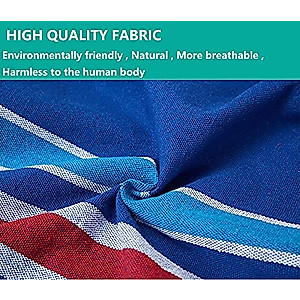 Double Cotton Hammock 2 Person Brazilian Fabric Hammock with Tree Straps Metal Carabiner Ropes and Carrying Bag for Garden Patio Backyard Outdoor/Indoor