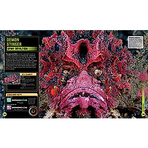 Super Shark Encyclopedia: And Other Creatures of the Deep (DK Super Nature Encyclopedias)