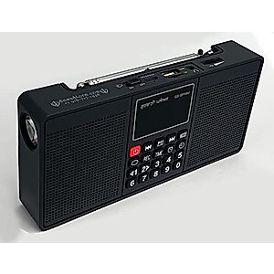 Gurbani Radio Player (GP49XL) with 2100 Hours of Nitnem, Sukhmani Sahib, and Many Other Gurbani Tracks