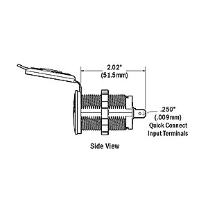Blue Sea Systems 1045 Fast Charge 4.8A Dual USB Charger Socket Mount, 12V/24V