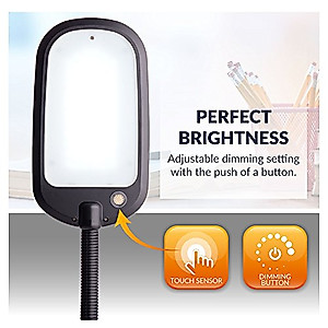Newhouse Lighting NHDK WH Eos Reading & Craft Table LED Desk Lamp, Dimmable &Light Color Adjustable, Gooseneck Task Light, Black (NHDK-EO-BK)