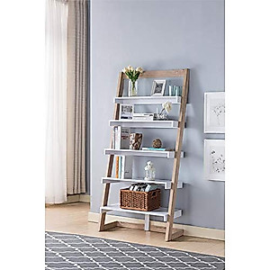 Furniture of America Gleim Transitional Wood 5-Shelf Bookcase in Natural Tone